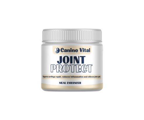 Advanced Natural Hip & Joint Support for Dogs – Canine Vital