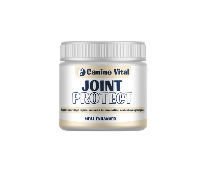 Advanced Natural Hip & Joint Support for Dogs – Canine Vital