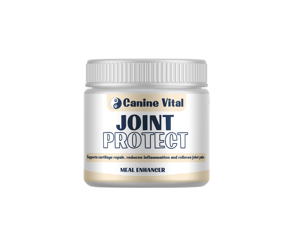 Advanced Natural Hip & Joint Support for Dogs – Canine Vital